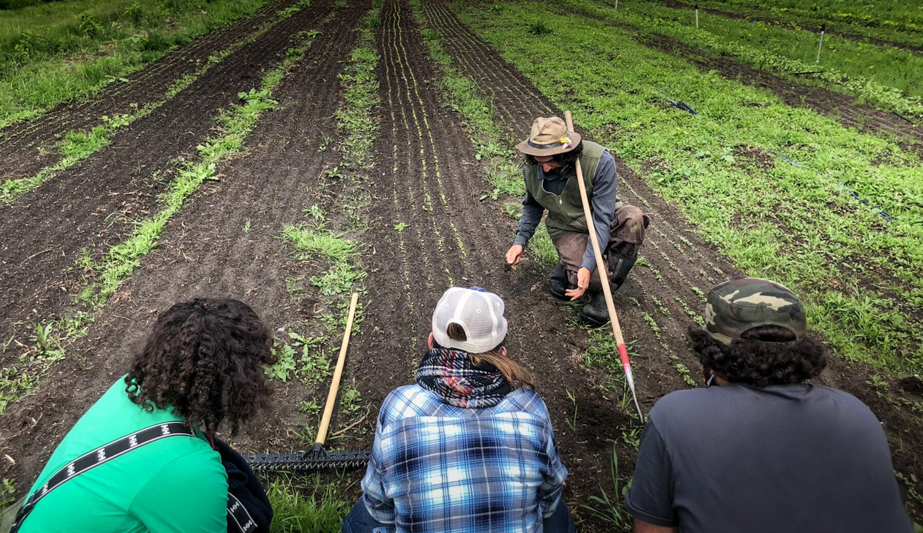 10 Things I Learned about Healthy Soils This Year | 21 Acres