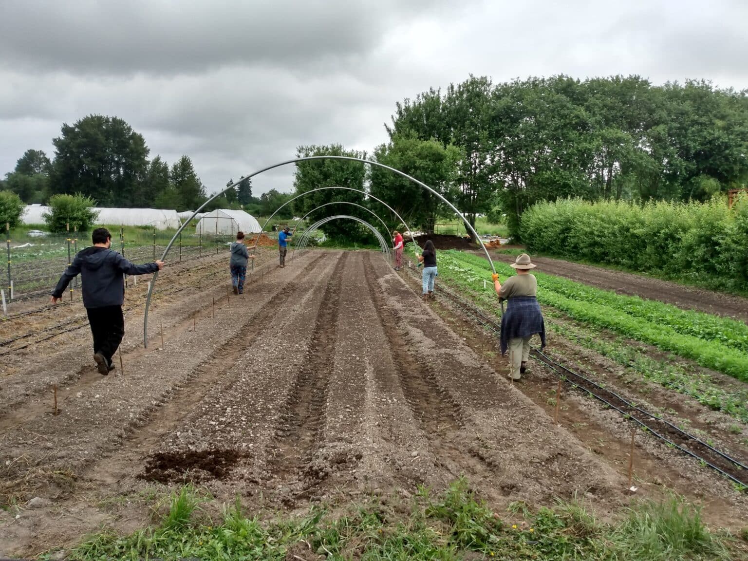 Featured Farm: Viva Farms | 21 Acres