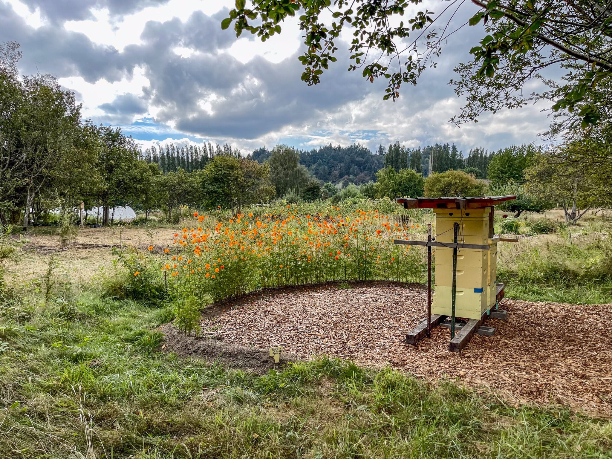 Featured Farmer: 21 Acres Bee Club | 21 Acres
