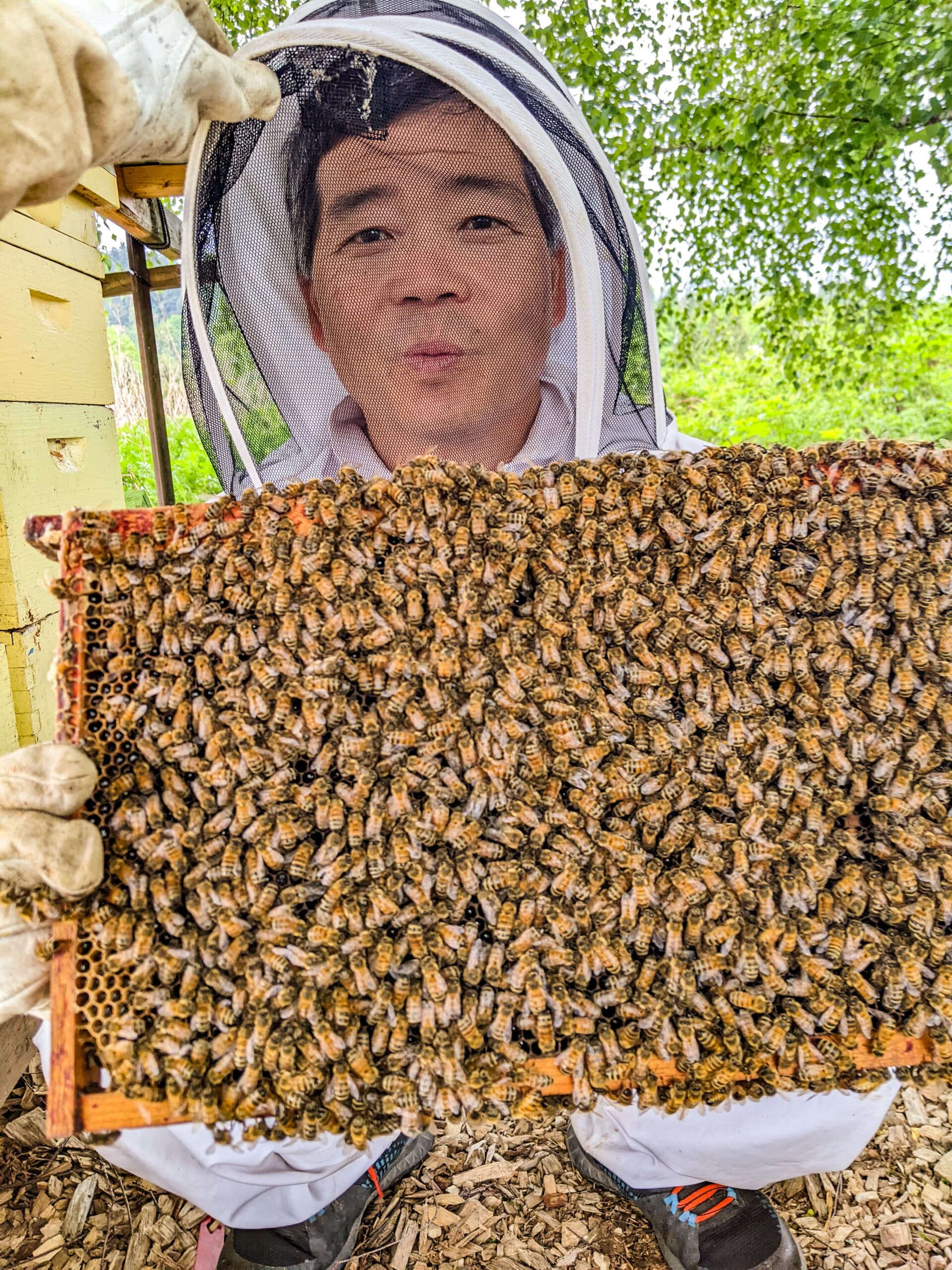 Featured Farmer: 21 Acres Bee Club | 21 Acres